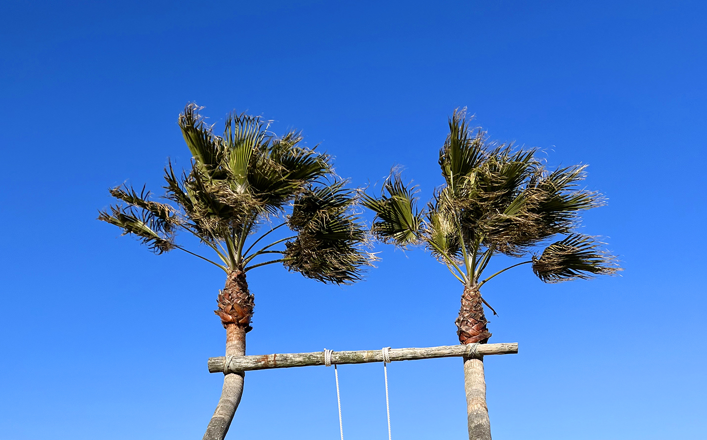 First day in Fukuoka. | 스푸닝 OTT