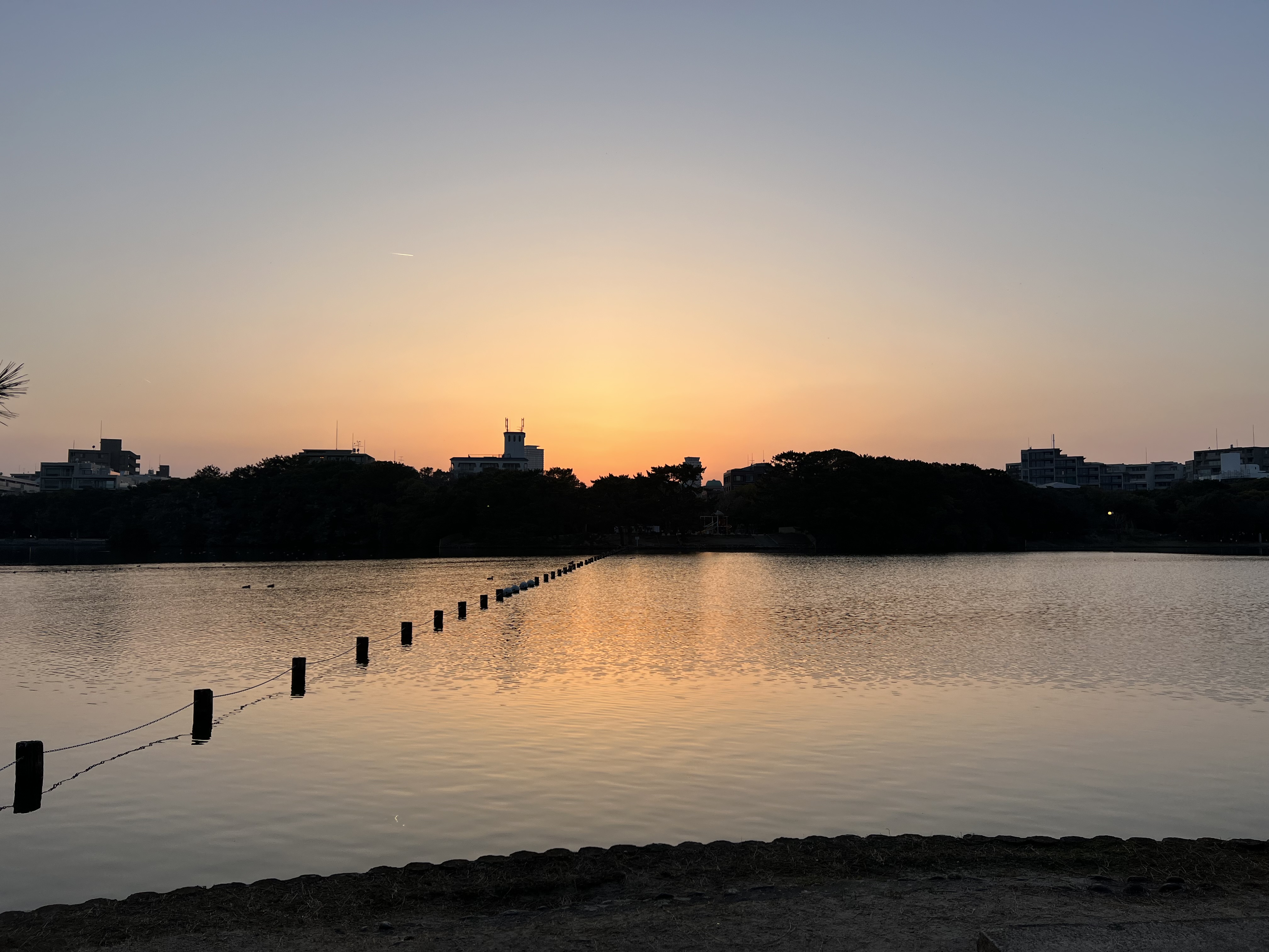 The second day in Fukuoka. | 스푸닝 OTT