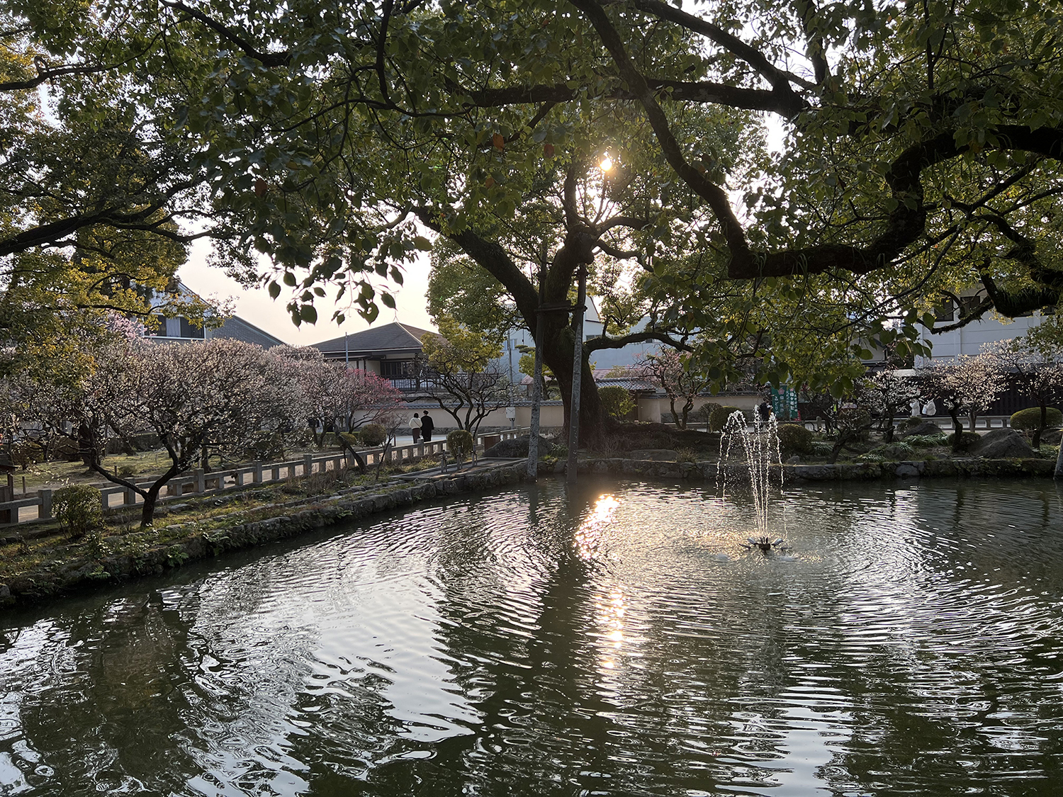 The 4th day in Fukuoka. | 스푸닝 OTT